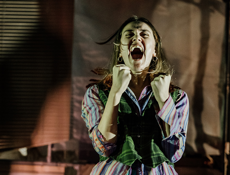 Dakota of the White Flats - Redleap